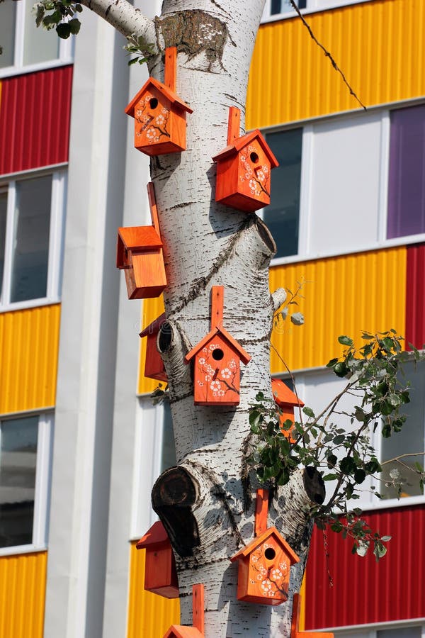 Many Bird Houses on Aspen Tree Stock Photo - Image of poplar, houses ...
