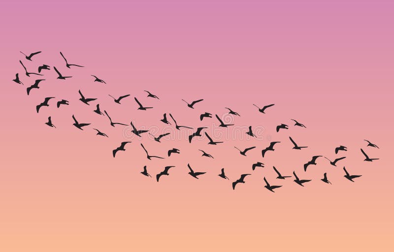 Many Birds Flying in the Sky, Nature Series Stock Vector - Illustration ...