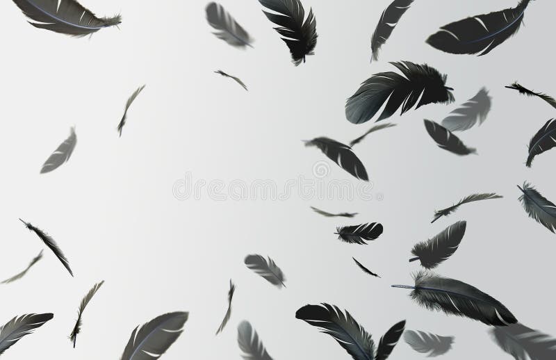 Many Black Bird Feathers Floating in the Sky. Softness of Feathers ...