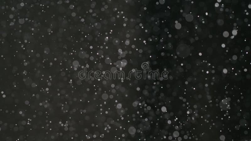 Many Blurred Dust Particles White Powder Falling from Top Floating in ...