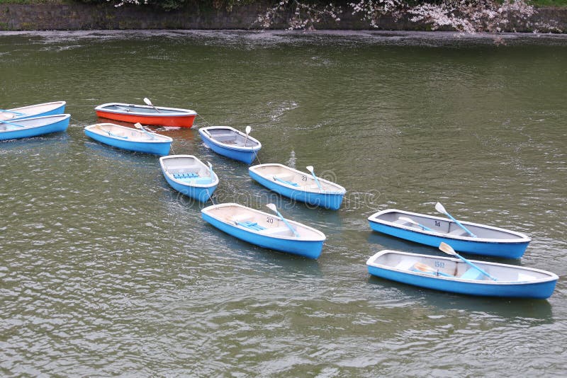 Many boat in the river. stock photo. Image of outdoors - 60720074