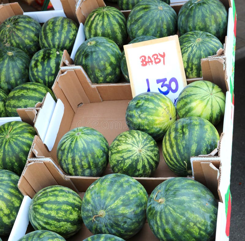 Many Boxes of Baby Watermelon with Tag Price Stock Image - Image of ...