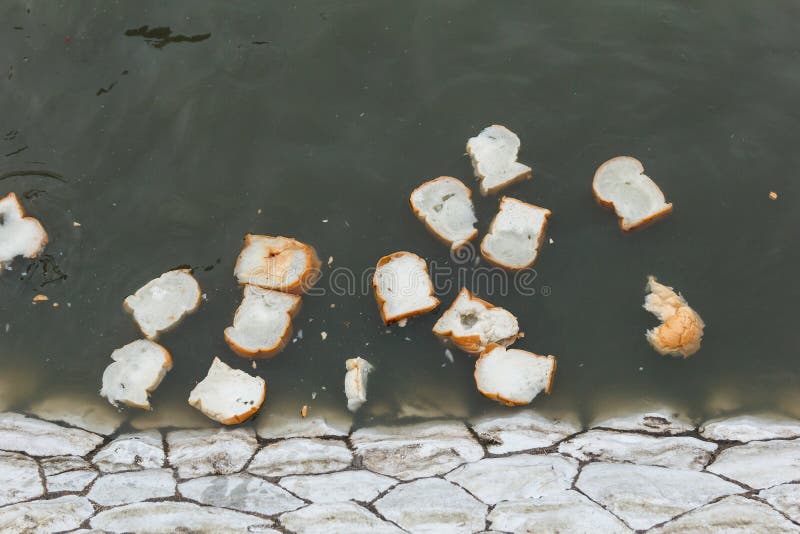 Many Bread in Water for Feed Fish. Stock Photo - Image of food, stone ...