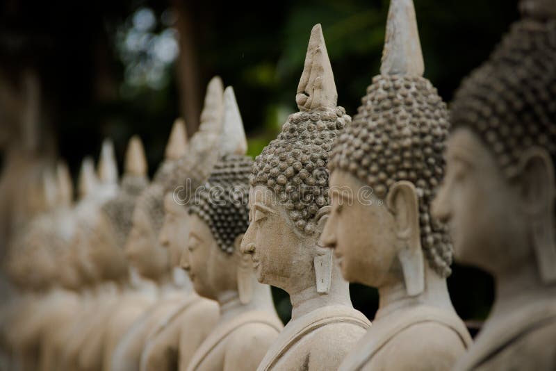 Many buddha statue sit stock photo. Image of buddhist - 112444732