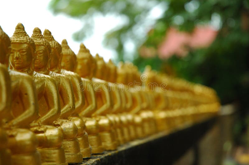 Many Buddhas in a Row. stock photo. Image of buddhas, arts - 1291864
