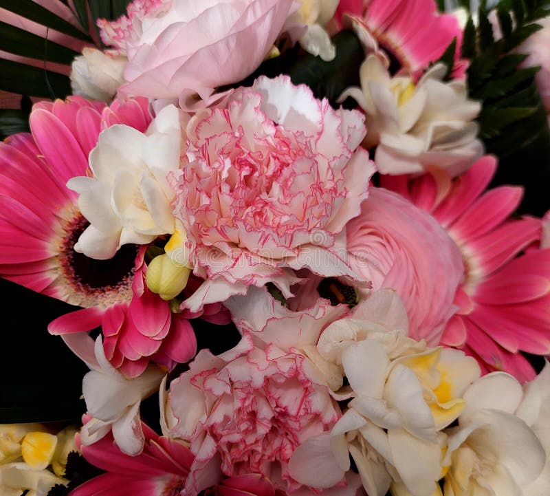 Multflowers Stock Photos - Free & Royalty-Free Stock Photos from Dreamstime