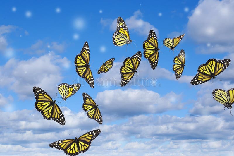 Many Beautiful Butterflies Flying in Blue Sky Stock Image - Image of ...