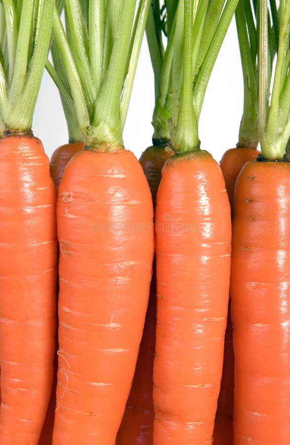 Many Carrots with Green Leaves Stock Image - Image of autumn, nutrition ...