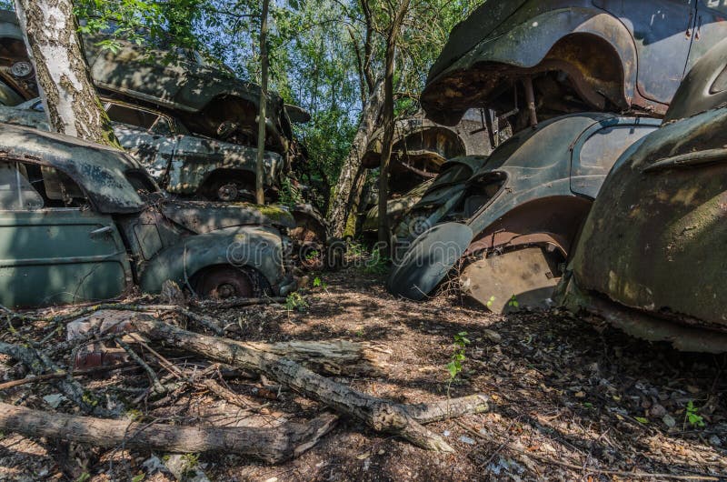Many Cars at Trees and Roots Stock Photo - Image of leaving, drive ...