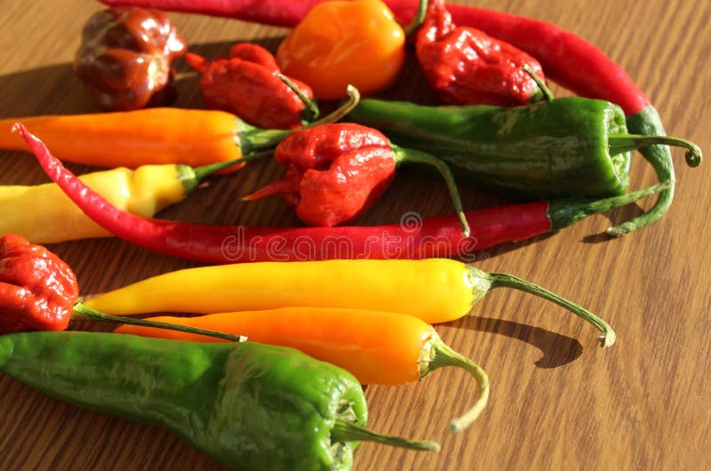Many chilis and pepperoni stock image. Image of plant - 236370269