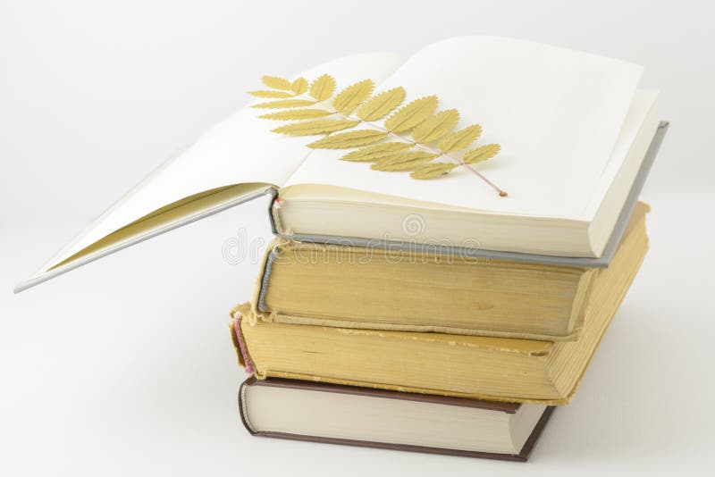 Many Closed Books Lying on a White Background.One Open Book Stock Photo ...