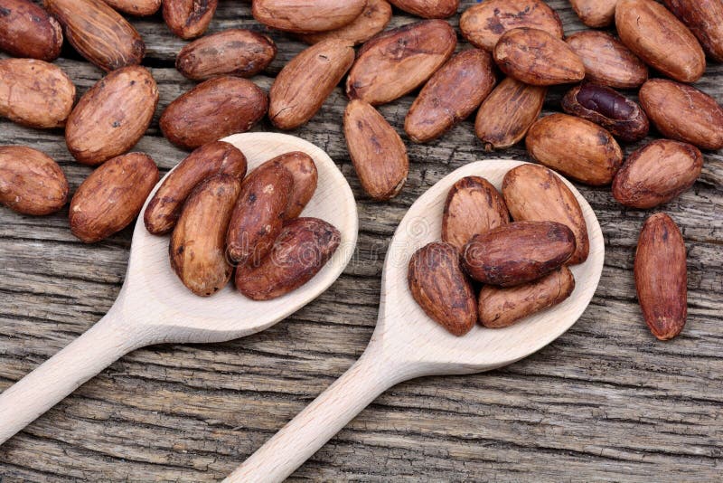 Many Cocoa Beans in a Spoons on Table Stock Image - Image of cocoa ...