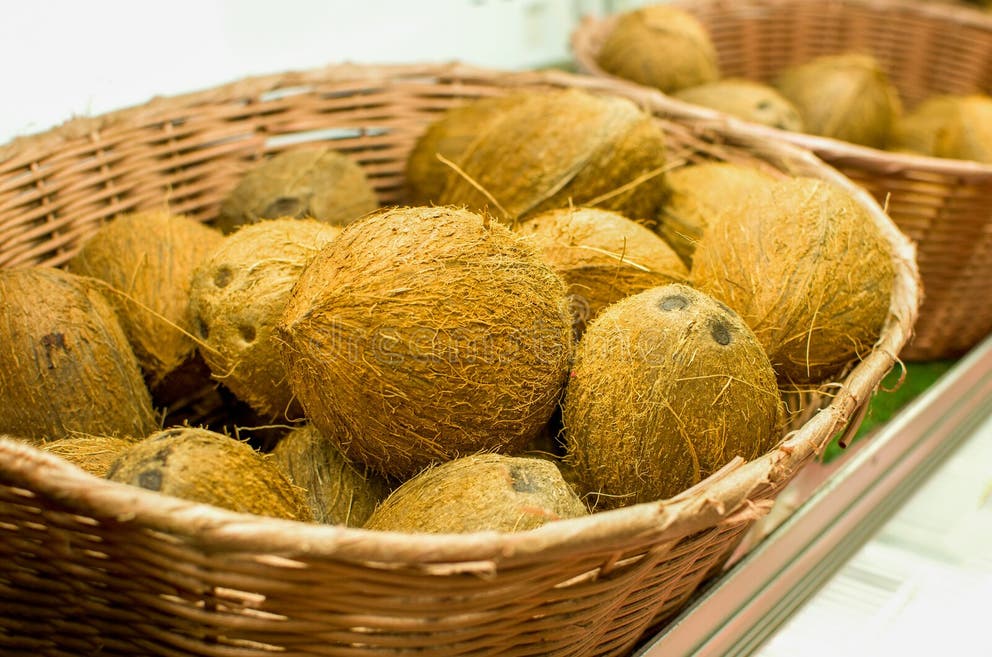 Many coconuts stock photo. Image of eating, fresh, details - 57877090