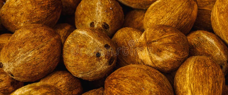 Many Coconuts at a Food Market Stock Image - Image of freshness, nature ...