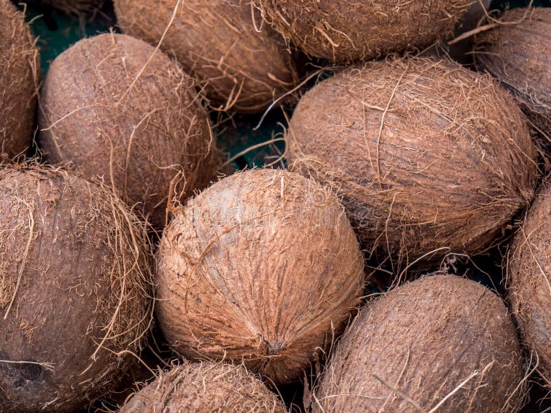Many coconuts in a pile stock image. Image of food, natural - 264496867