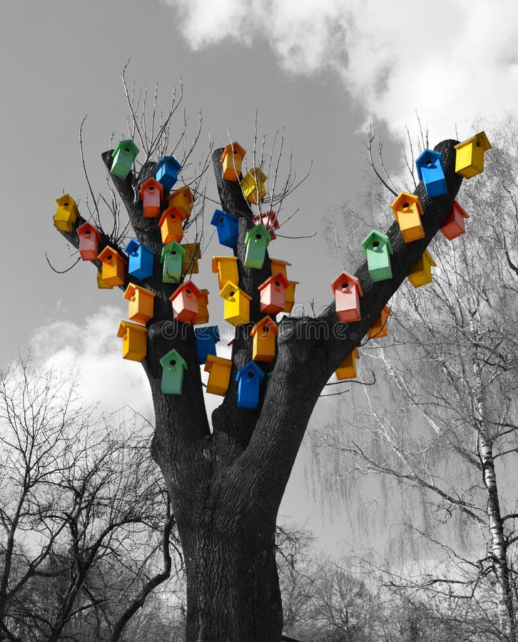 Many Colored Starling Boxes on a Tree Stock Image - Image of blue ...