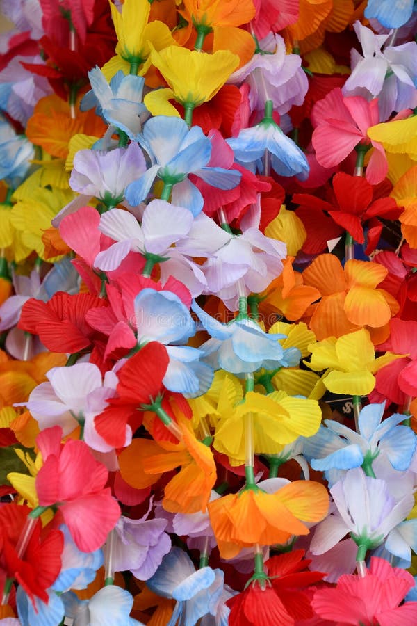 Colorful Hawaiian Lei Garland Stock Photo - Image of ocean, holding ...