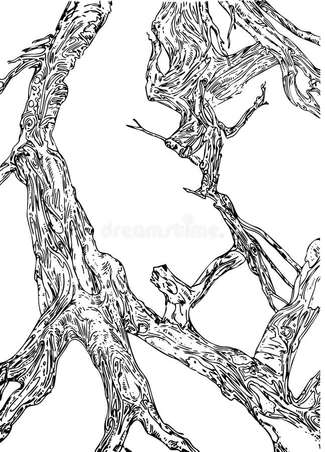 Many Crooked and Dry Tree Branches Sketch Vector Illustration Stock ...