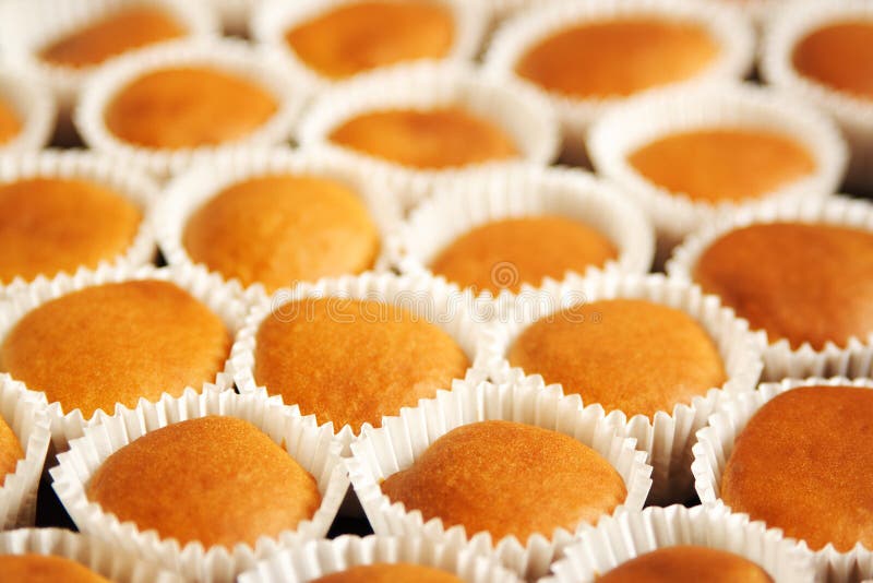 Many Cupcakes in White Paper Stock Photo - Image of brown, bakery: 22781388