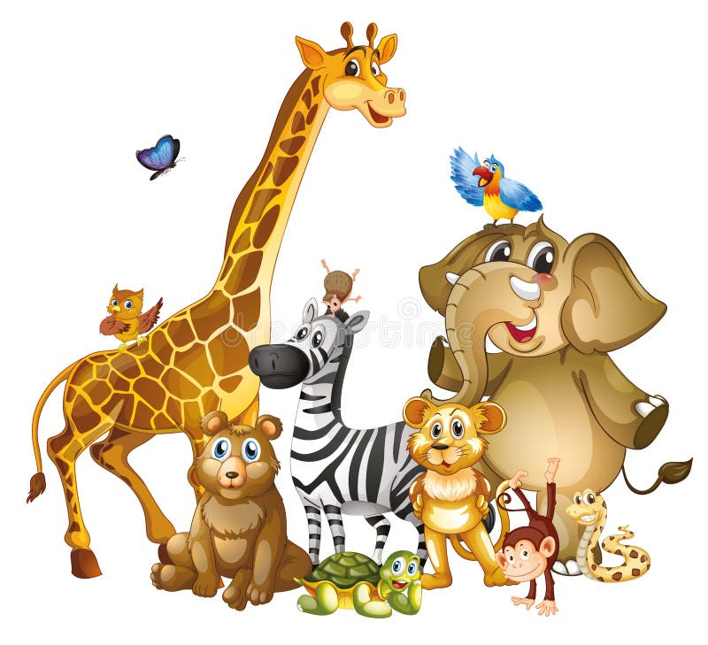 Many Cute Animals on White Background Stock Photo - Image of animal ...