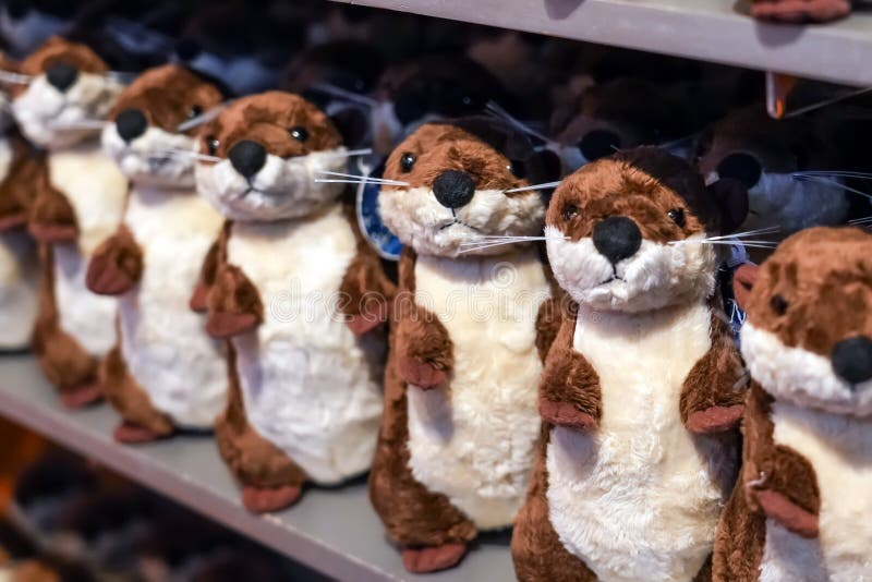Many Cute Toy Otters in the Toy Store Stock Image - Image of bull, hare ...