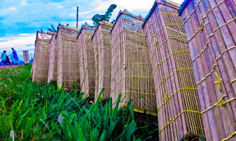 Many Dap are Managed for Hold the Fish Stock Image - Image of hold ...