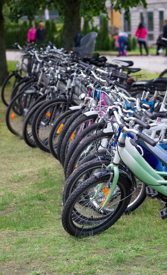 Many Different Bikes are Available for Rent on the Grass in the Resort ...