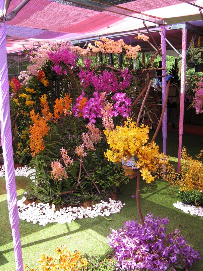 Many Different Colored Flowers in One Scene Stock Photo - Image of ...