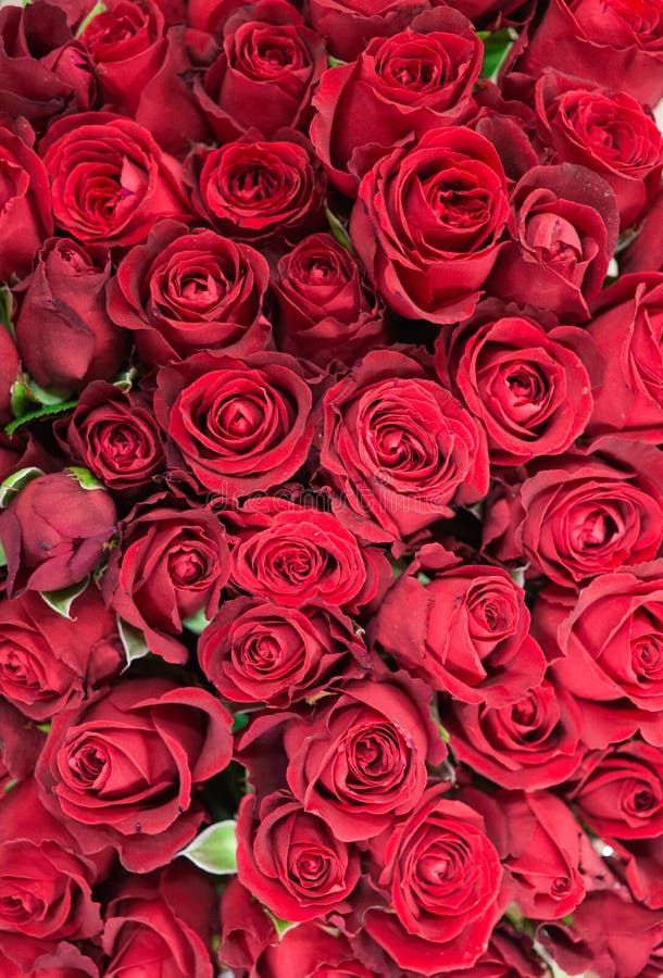 Many Different-colored Roses in a Bouquet on the Table Stock Image ...