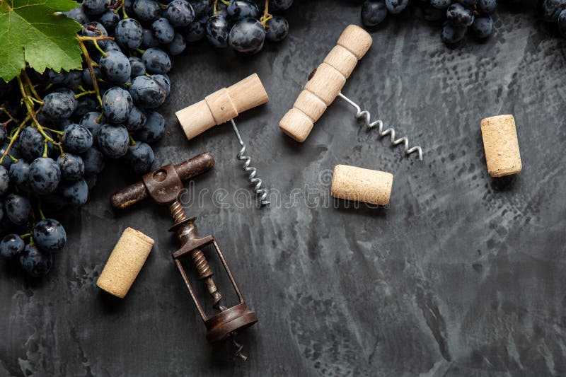 Many Different Corkscrews Varieties with Open Wine Corks on Dark ...