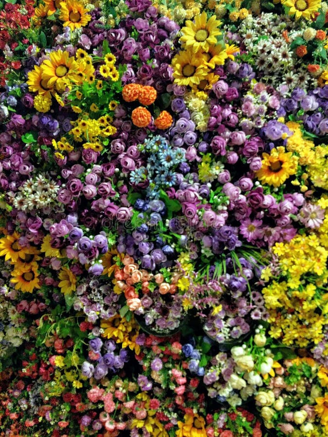 Many Different Flowers Become Unity Stock Photo - Image of unity ...