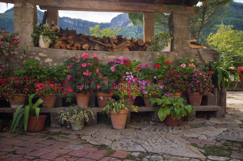 Flowerpots stock photo. Image of green, leaves, house - 30000950