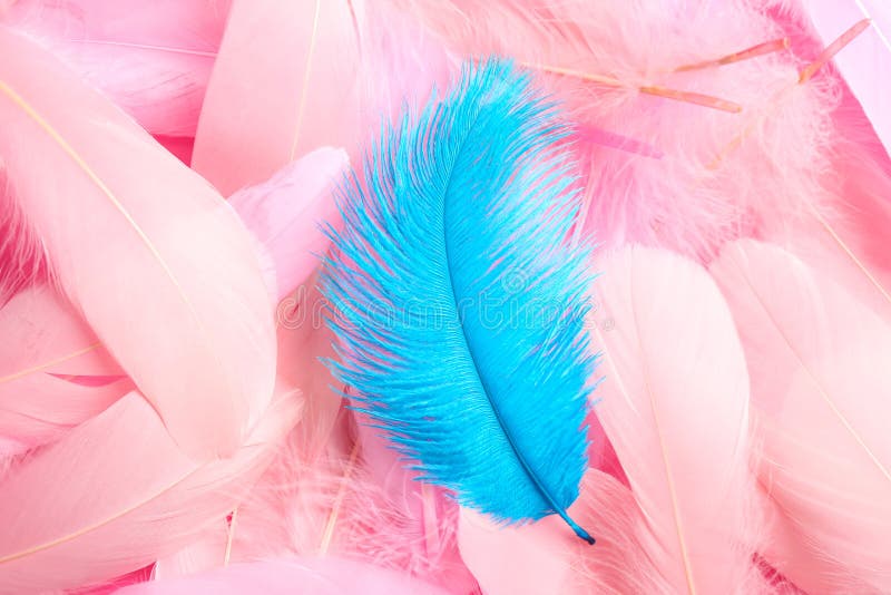 Many Different Fluffy Bright Feathers, Closeup View Stock Photo - Image ...