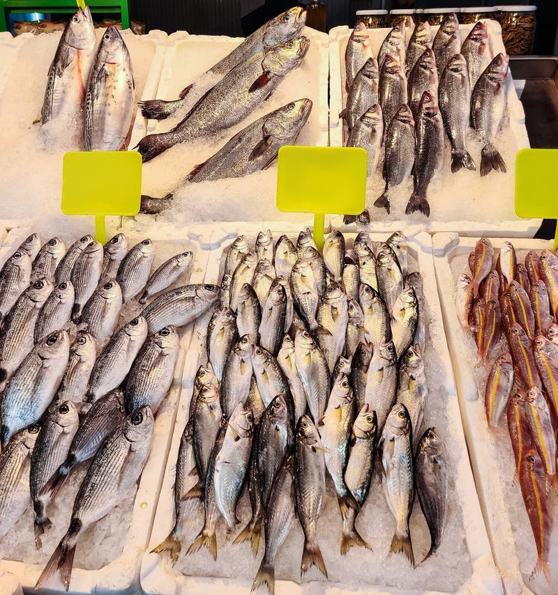 Many Different Fresh Seafood Fish on the Counter in the Store Stock ...