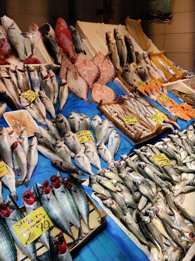 Many Different Fresh Seafood Fish on the Counter in the Store Stock ...