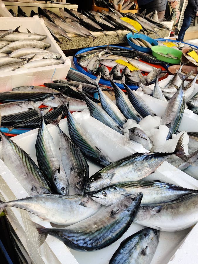 Many Different Fresh Seafood Fish on the Counter in the Store Stock ...