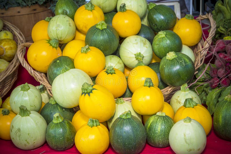 Many Different Kind Sof Small Round Squash Stock Image - Image of ...