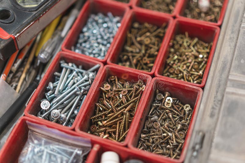 Many Different Screws in the Organizer of Master for Work Stock Photo ...