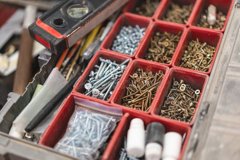 Many Different Screws in the Organizer of Master for Work Stock Image ...