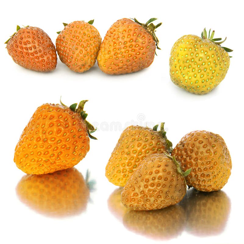 Many Different Sets of Yellow Strawberry on White Background, Isolate ...