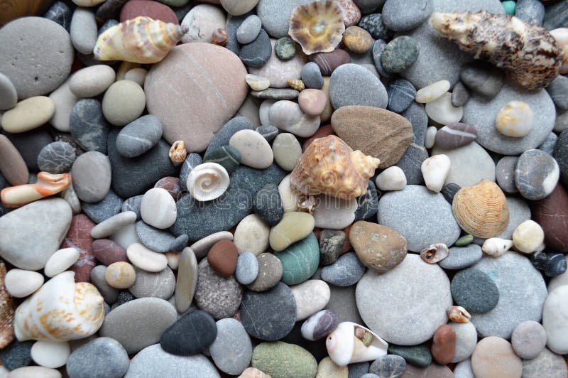 Many Different Small Stones and Shells are Randomly Placed. Stock Image ...