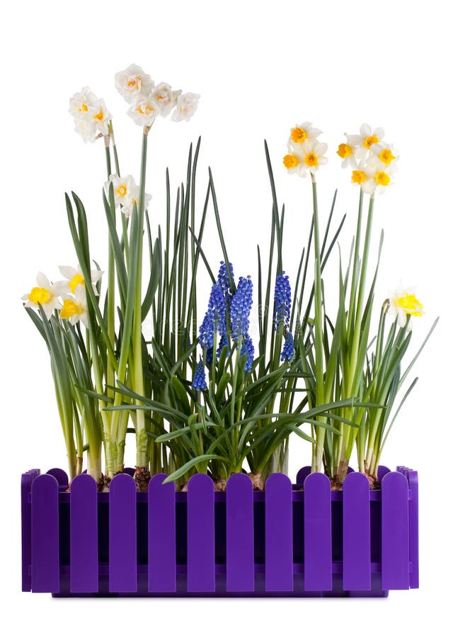 Many Different Spring Flowers Stock Photo - Image of beautiful ...