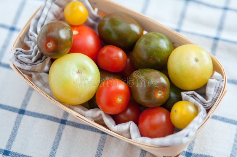 Many Different Tomato Breeds Stock Image - Image of closeup, cherry ...