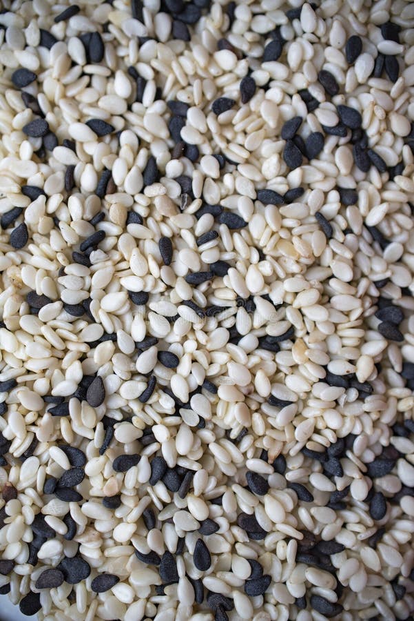 Many Different Types of Sesame Seeds Stock Photo - Image of brown, life ...