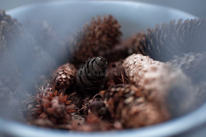 Different Types of Cones Selective Focus Stock Image - Image of ...