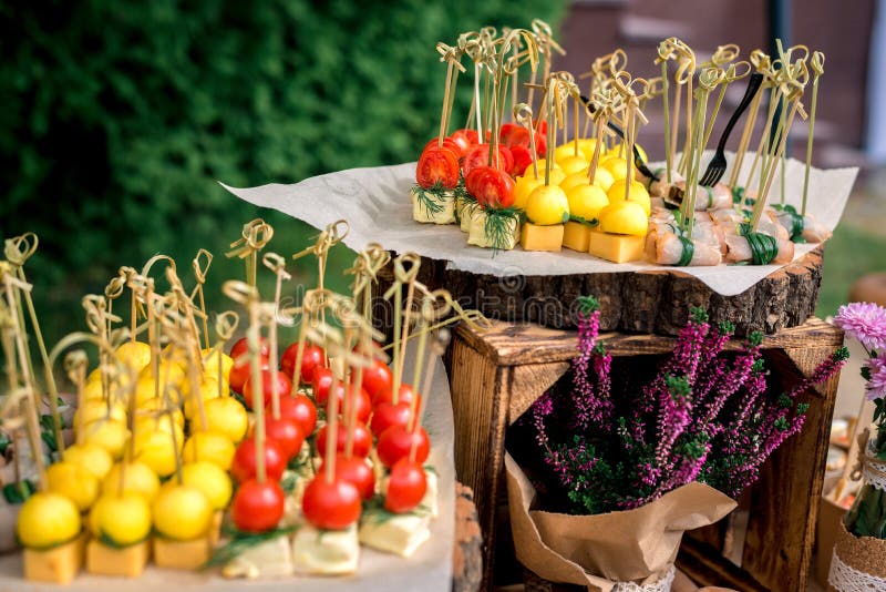 Many Different Vegetable Canapes for the Whole Frame. Horizontal Frame ...