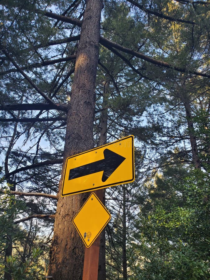 Many directions vary stock image. Image of vehicle, reflection - 232320409