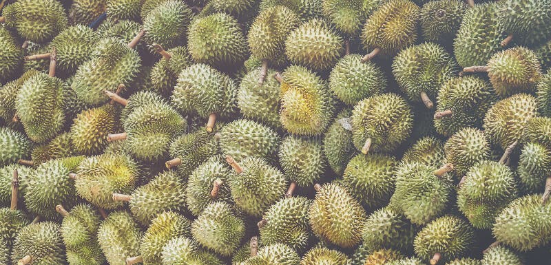 Many Durians are Lined Like Mountains. Stock Image - Image of sweet ...