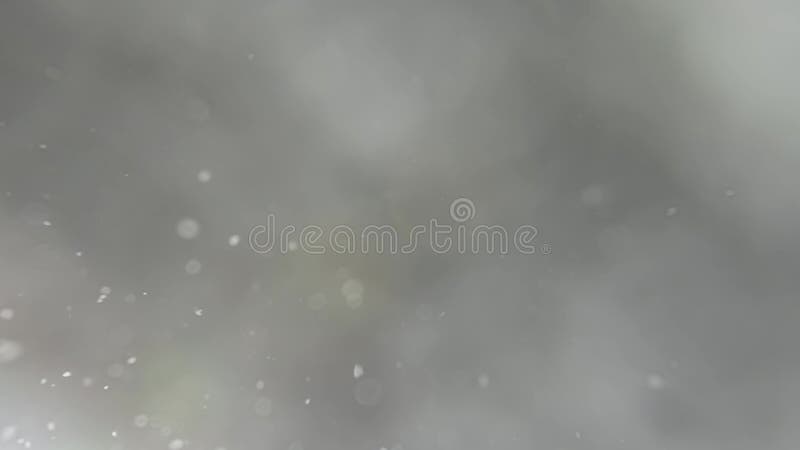 Many Dust Particles Floating Falling Down in Light on Empty Background ...