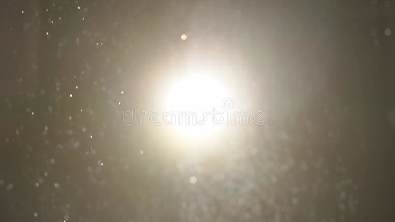 Many Dust Particles Floating Falling in Light on Empty Background with ...